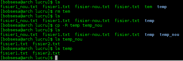 Comanda cp – Comenzi LINUX